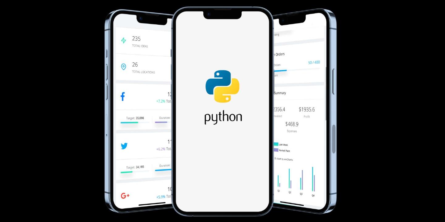 Что такое Python? — Видади Алиев на TenChat.ru