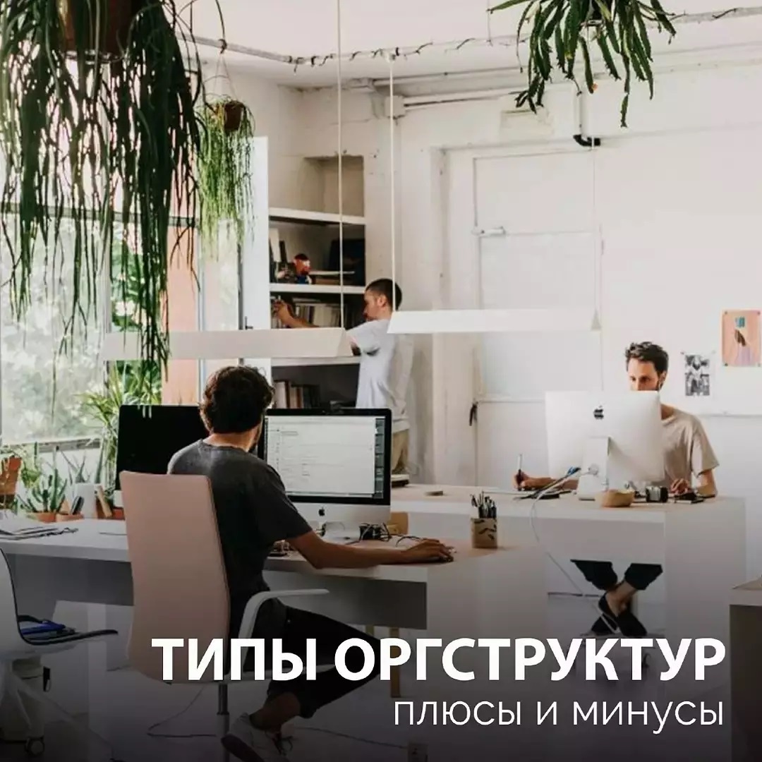 Плюсы и минусы разных типов оргструктур — Марина Гусева на TenChat.ru