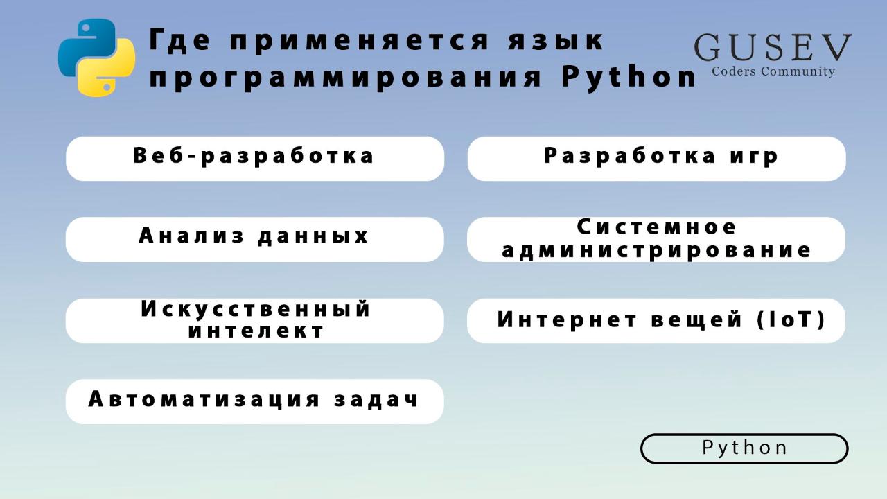 Где применяется язык программирования Python — Александр Гусев на TenChat.ru