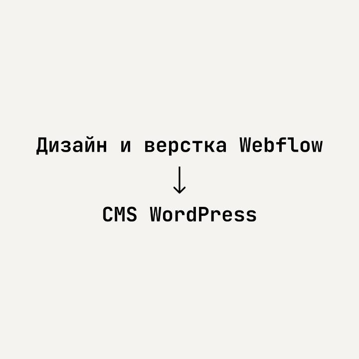 Как я разрабатываю сайты: дизайн и верстка - Webflow, CMS - WordPress — Анастасия Маторина на ...