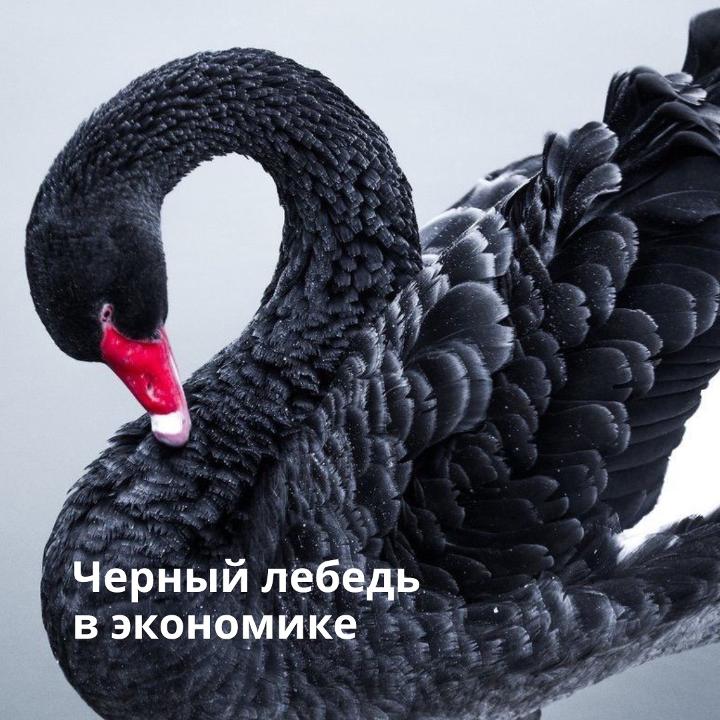 Страшилка к Хэллоуину: Черный лебедь — Галина Менкеева на TenChat.ru
