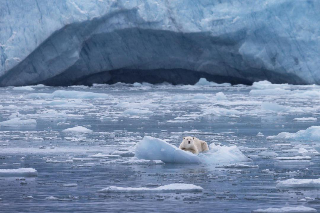 Экспедиция к Новой Земле с RUSARC с 15 по 23 июня 2024🔥 — Мария Коршунова на TenChat.ru