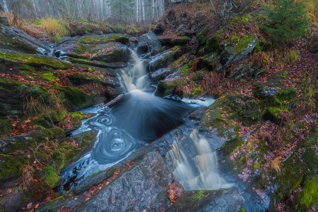 Карелия на выставке Nature Photo Team — Кирилл Уютнов на TenChat.ru