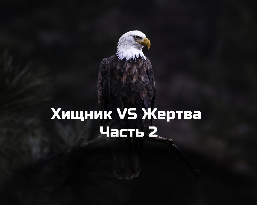 Что ждёт бизнес в 2024 году или «Хищник VS Жертва»? Часть 2 — Даниэль Погосян на TenChat.ru