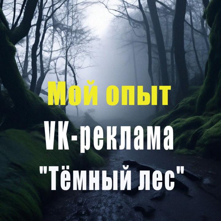 VK-реклама. Мой опыт. "Тёмный лес" какой-то... — Алексей Бунаков на TenChat.ru