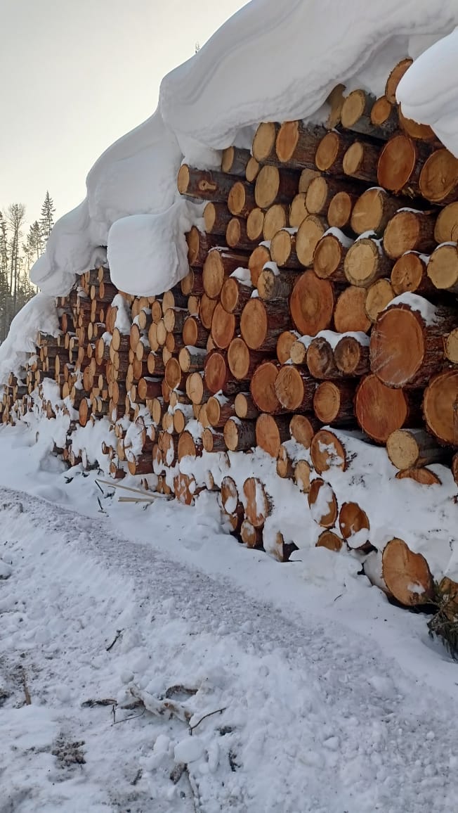 Электронная площадка Bidzaar, Москва, 5 лет — Эксперт по тендерам в ООО "БИДЗААР", отзывы