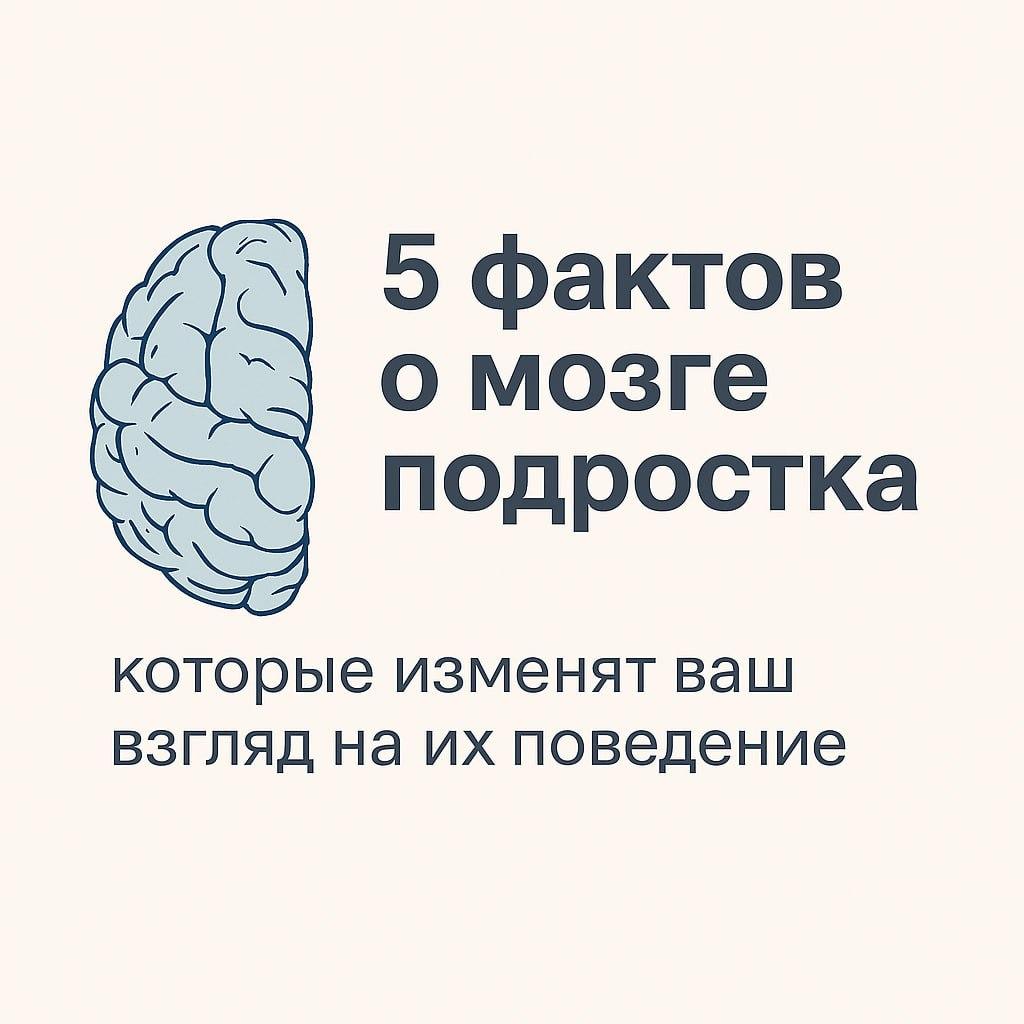 5 фактов о мозге подростка, которые удивят вас — Ольга Служенко на TenChat.ru