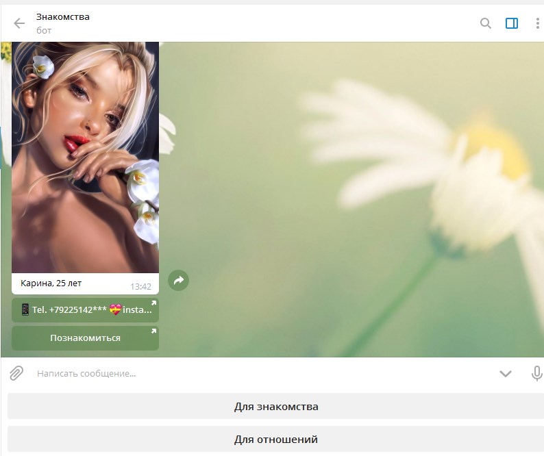 Знакомства для создания семьи: как найти свою половинку в Telegram — Екатерина Астафьева на ...