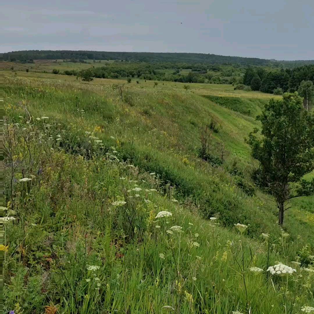Рефлексия в проекте — Юрий Болдарев на TenChat.ru