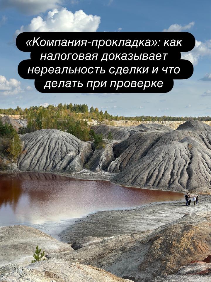 «Компания-прокладка»: как налоговая доказывает нереальность сделки — TaxAdvice Альбина Исафова ...