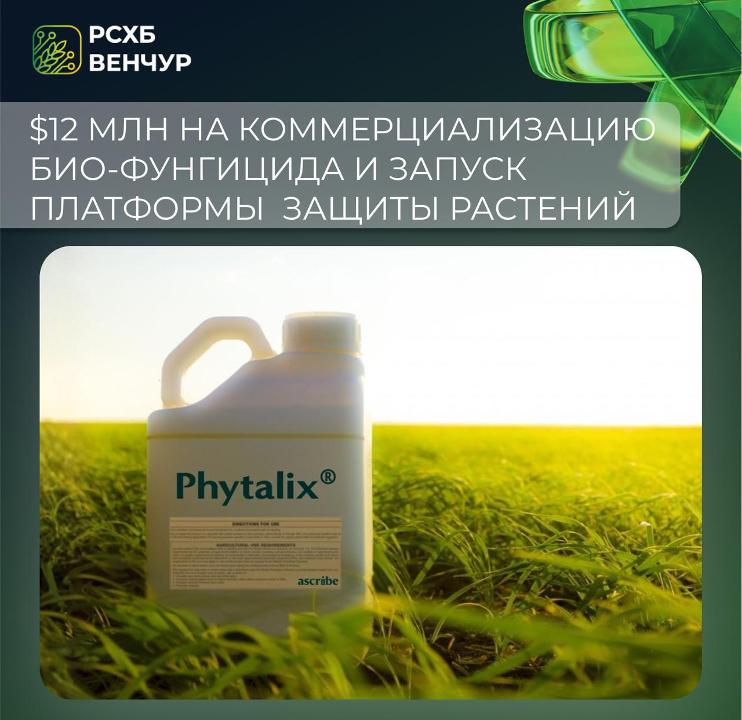 🌿 Ascribe Bio привлекла $12 млн на вывод на рынок био-фунгицида нового ...