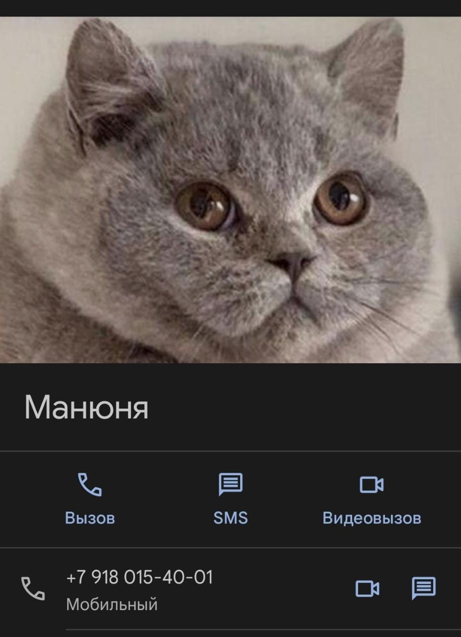 Писита Манюня, отзывы — TenChat
